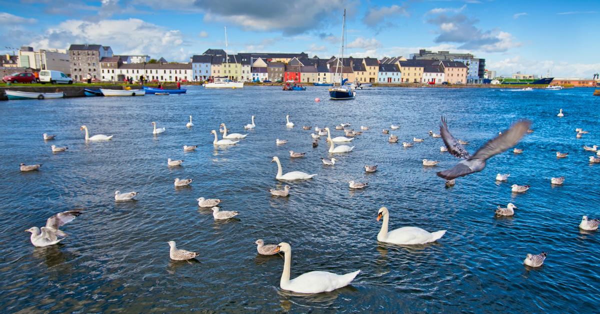 Explore Galway from our doorstepl | HYDE Hotel Galway